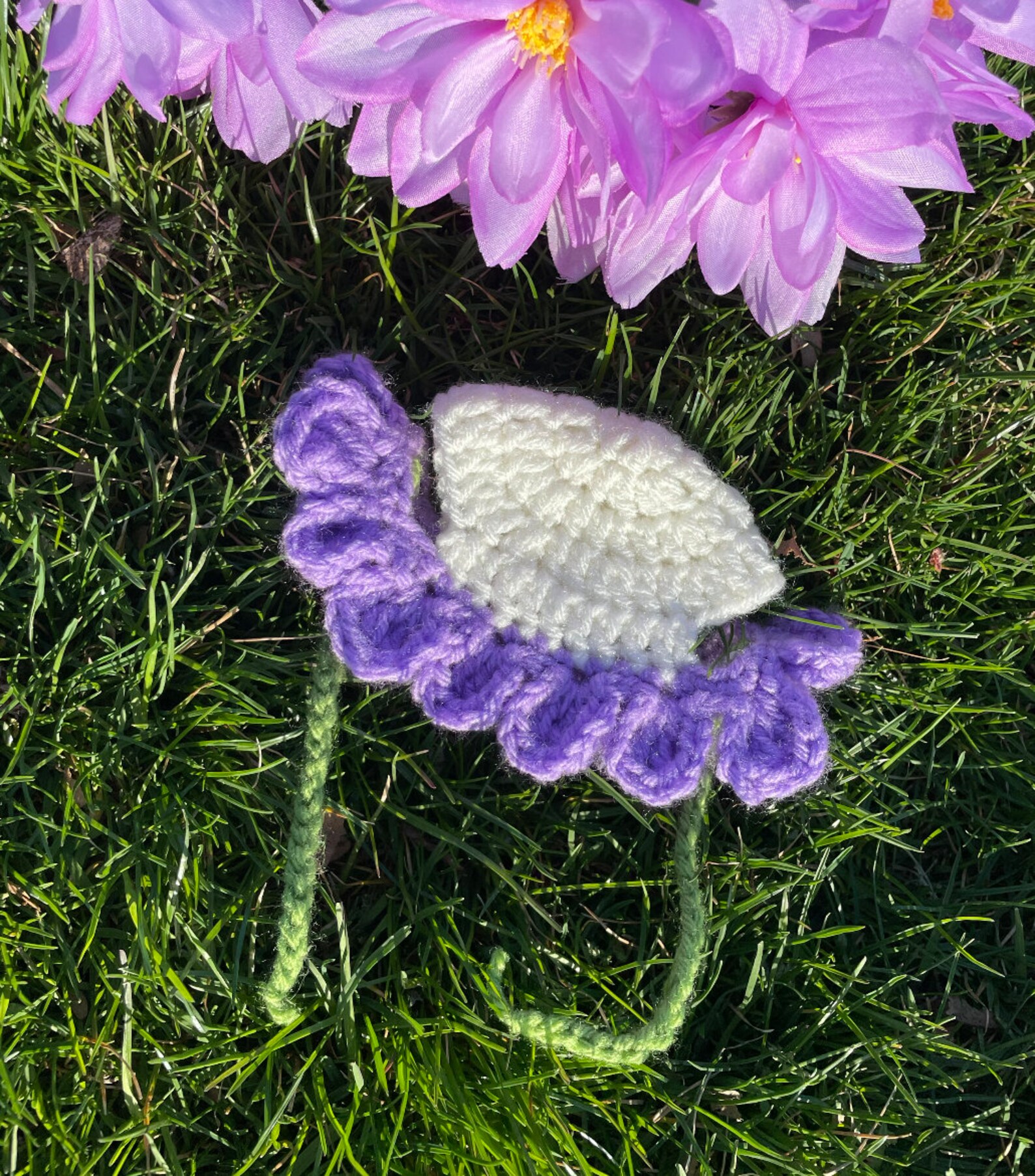 Cat Daisy Flower Hat any Color Available for All Pets - Etsy