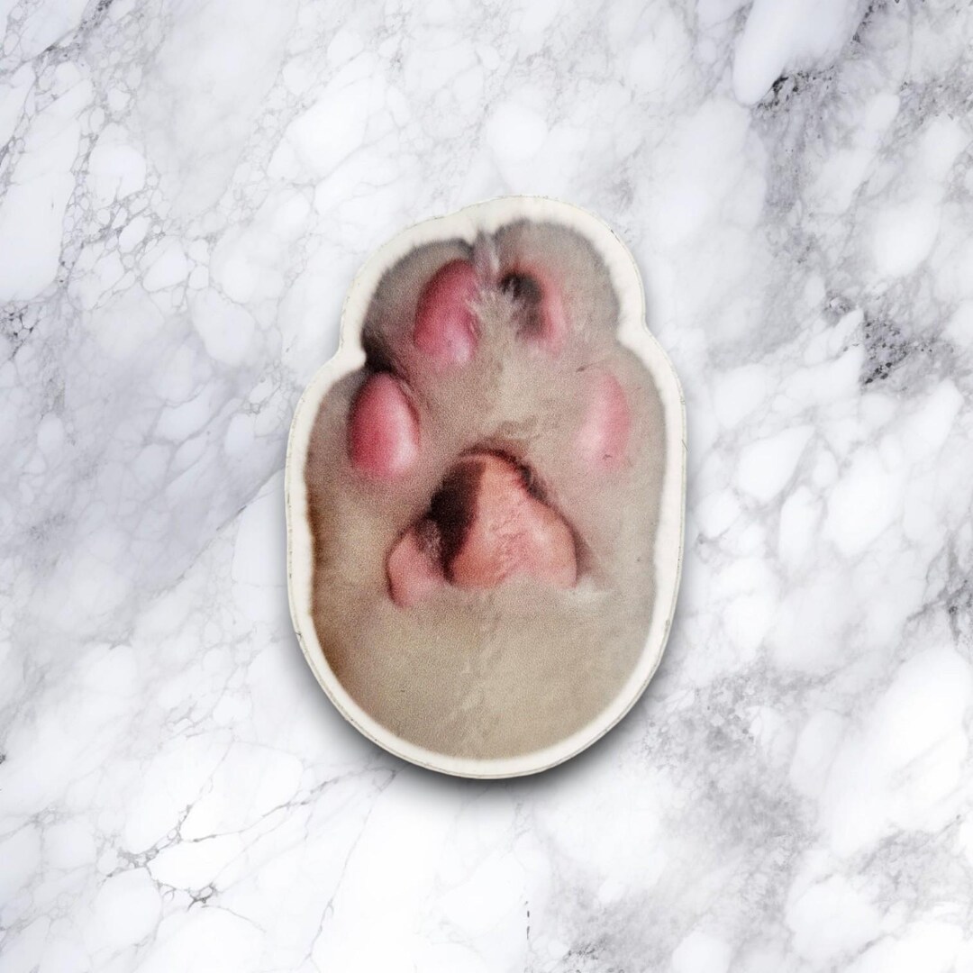 All Hail the Tortie Beans! Cat Paw Sticker, Tortoiseshell Cat Sticker ...