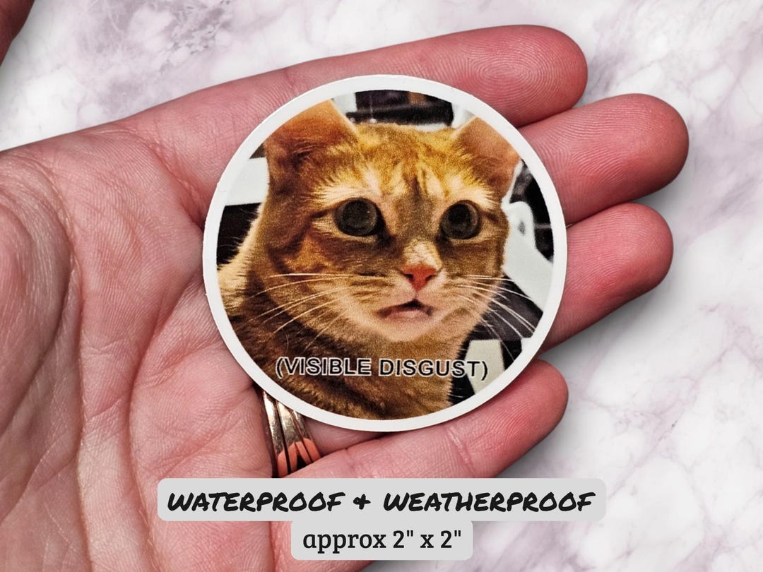 Visible Disgust Cat Stickers, Meme Sticker, Cat Lover Sticker, Orange ...