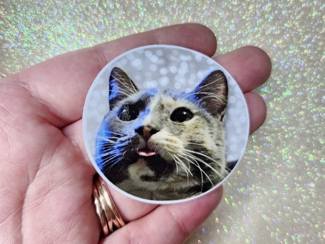 Mlem Cat Stickers, Tortoiseshell Cat Sticker, Calico Cat Sticker, Cat ...