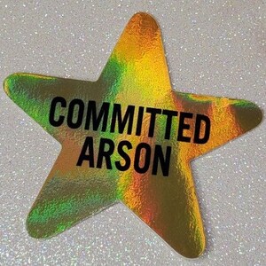 Gold Star Stickers, Holographic Stickers, Reward Stickers, Did Not ...