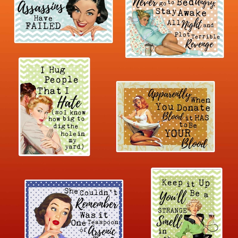 Funny Irreverent Stickers - Etsy