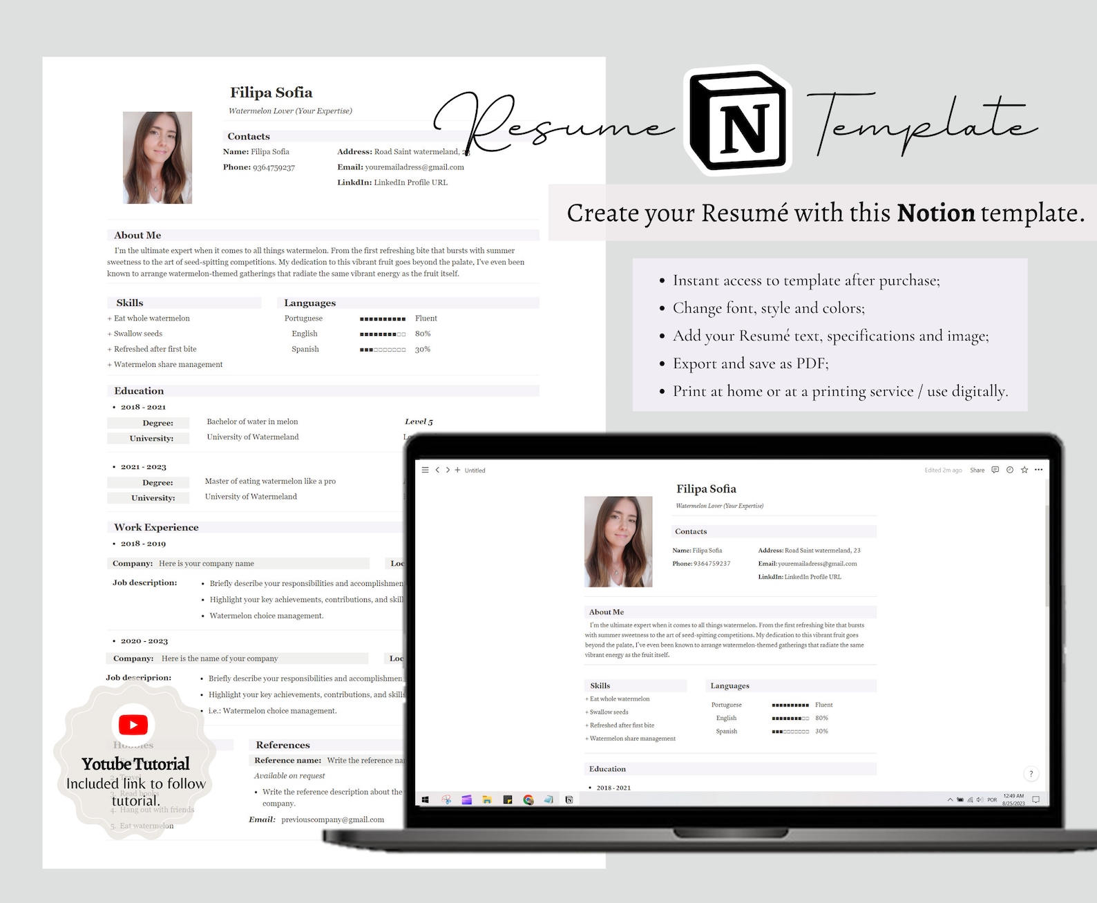 Notion Resume Template: Modern Ats-optimized Design - Etsy