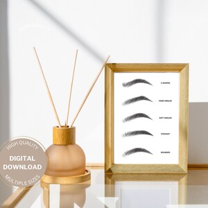 Eyebrow Chart Print, PMU Artist Decor, Microblading Wall Poster ...