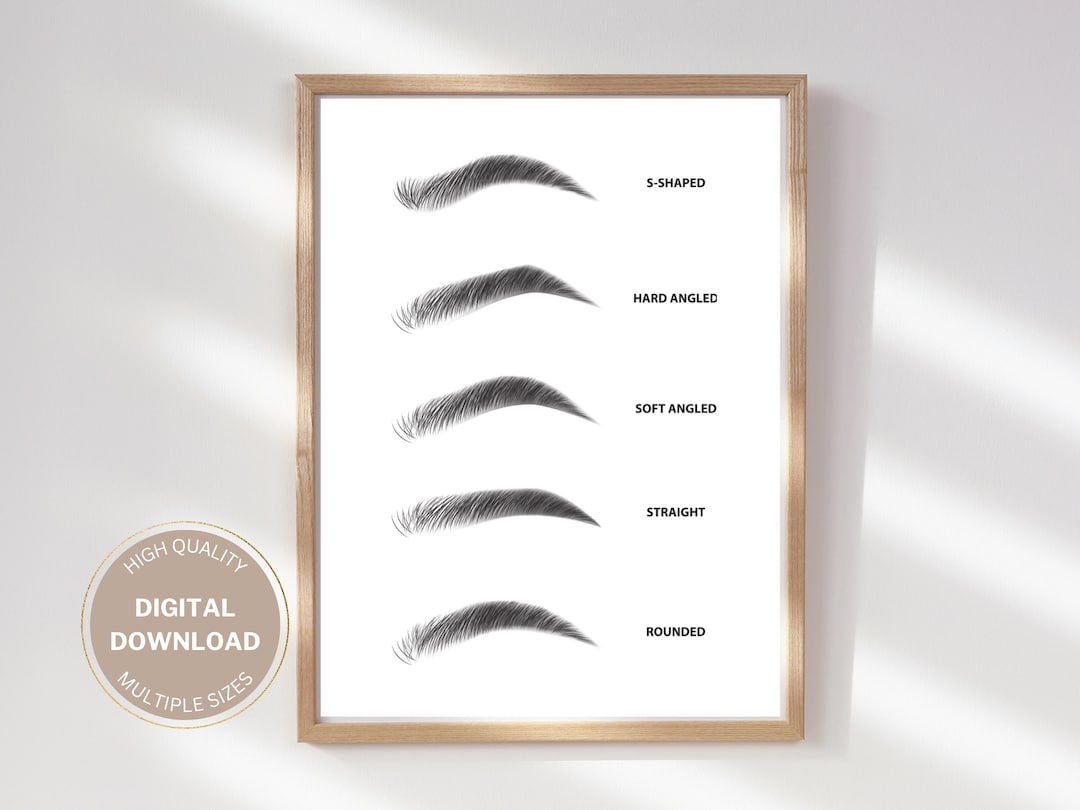 Eyebrow Chart Print, PMU Artist Decor, Microblading Wall Poster ...