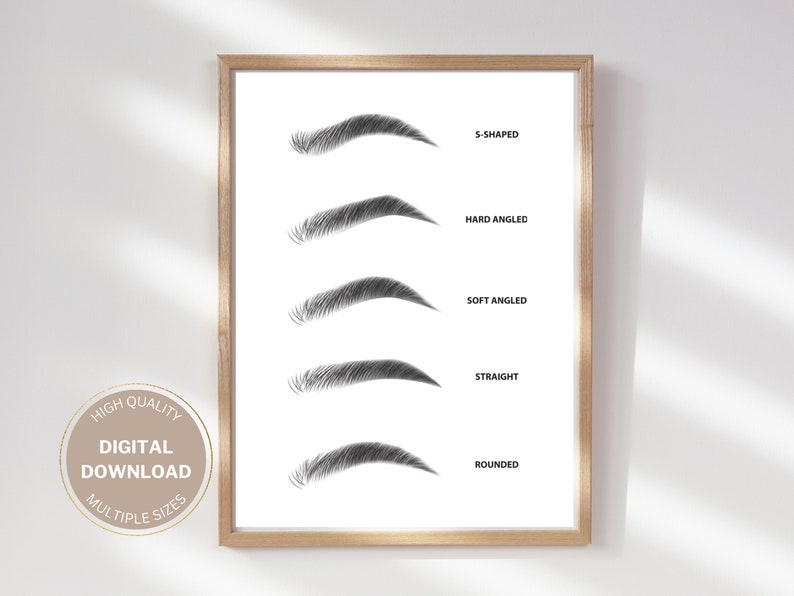 Eyebrow Chart Print PMU Artist Decor Microblading Wall - Etsy