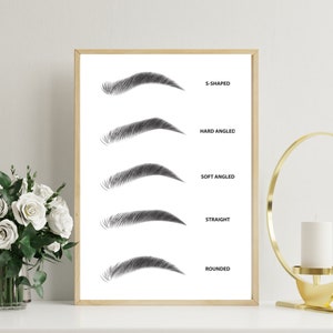 Eyebrow Chart Print, PMU Artist Decor, Microblading Wall Poster ...
