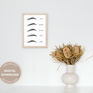 Eyebrow Chart Print, PMU Artist Decor, Microblading Wall Poster ...