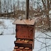 Nut Hut Squirrel Feeder (digital Download) - Etsy
