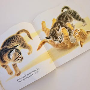 The Kitten Book by Jan Pfloog Golden Super Shape Book 1968 Vintage ...