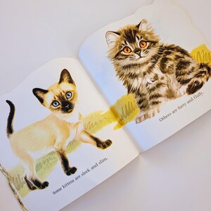 The Kitten Book by Jan Pfloog Golden Super Shape Book 1968 Vintage ...