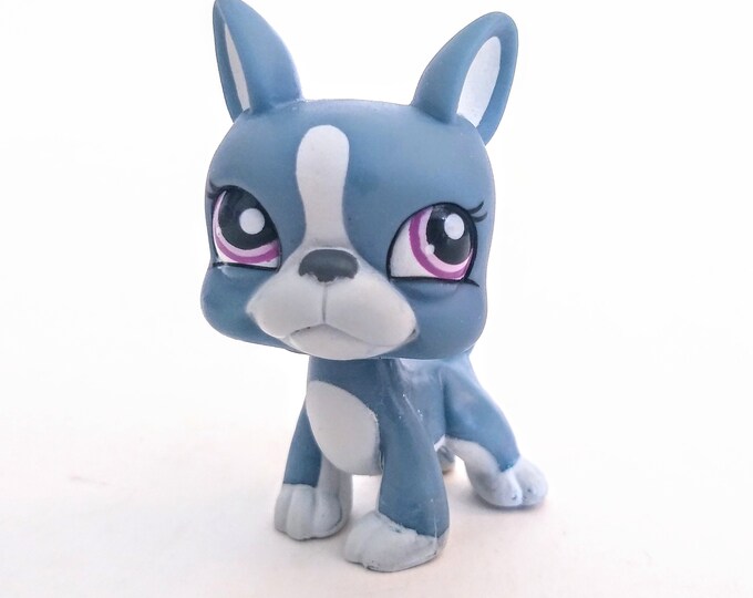 Hasbro Littlest Pet Shop LPS Boston Terrier Dog #1025 Blue Gray and ...