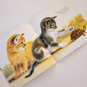 The Kitten Book by Jan Pfloog Golden Super Shape Book 1968 Vintage ...