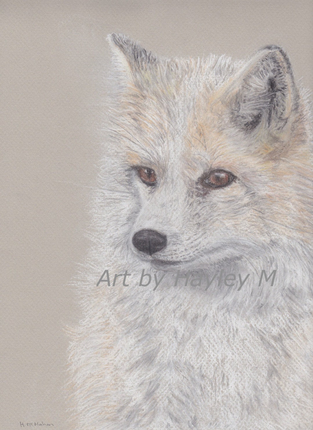 White Fox Original Drawing Fine Art Print A4 / White Fox Art / Fluffy ...