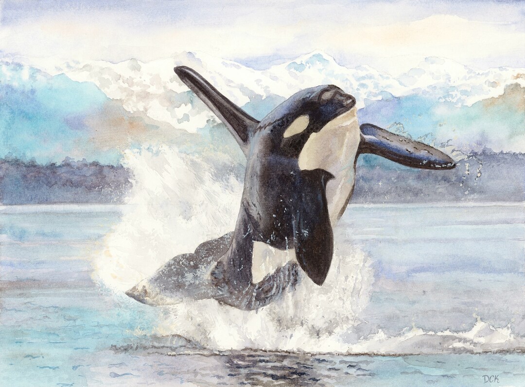 Orca Whale Art, Whale Watercolor, Whale Painting, Whale Wall Art, Orca ...