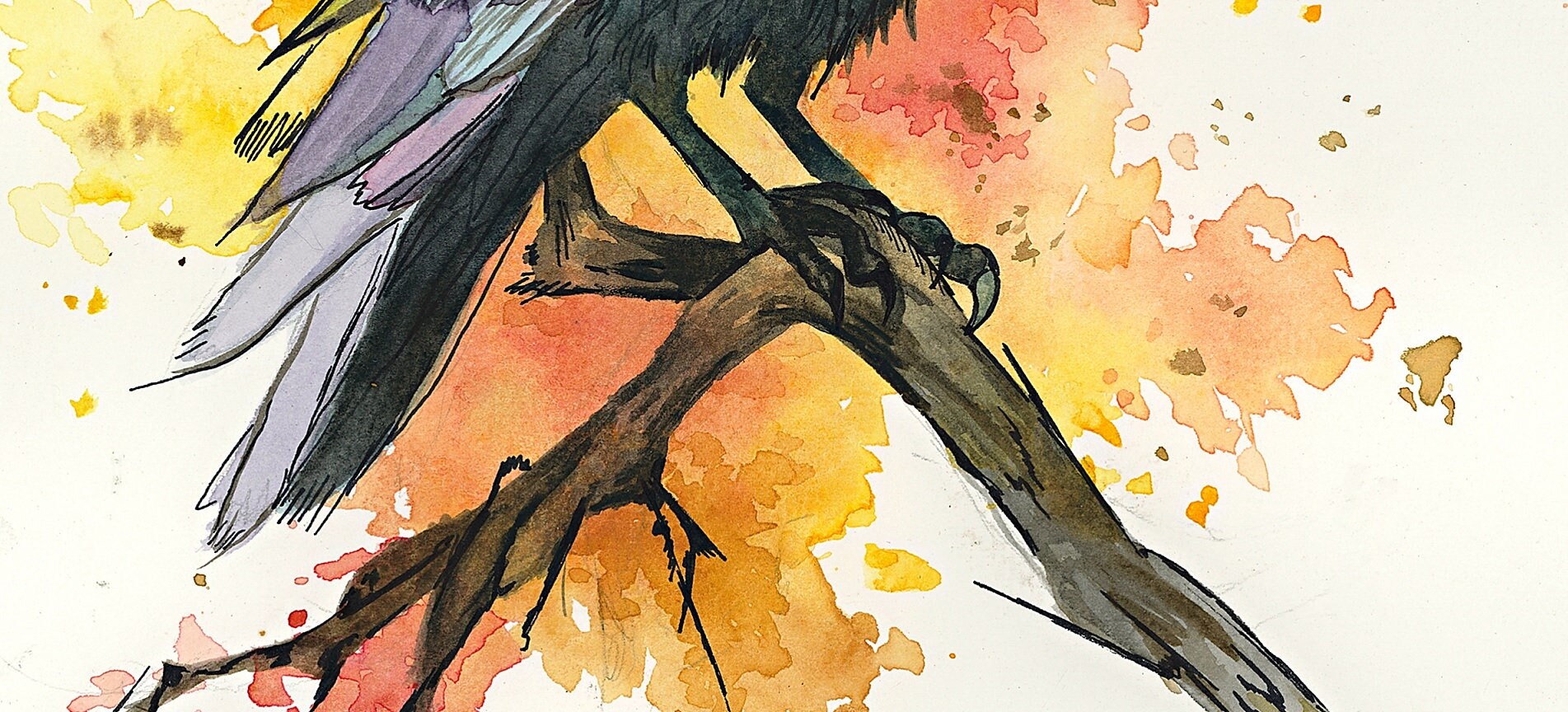 Raven Art Raven Watercolor Fall Leaves Autumn Bird - Etsy
