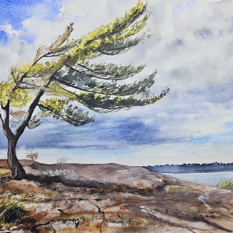 Windswept Tree - Etsy