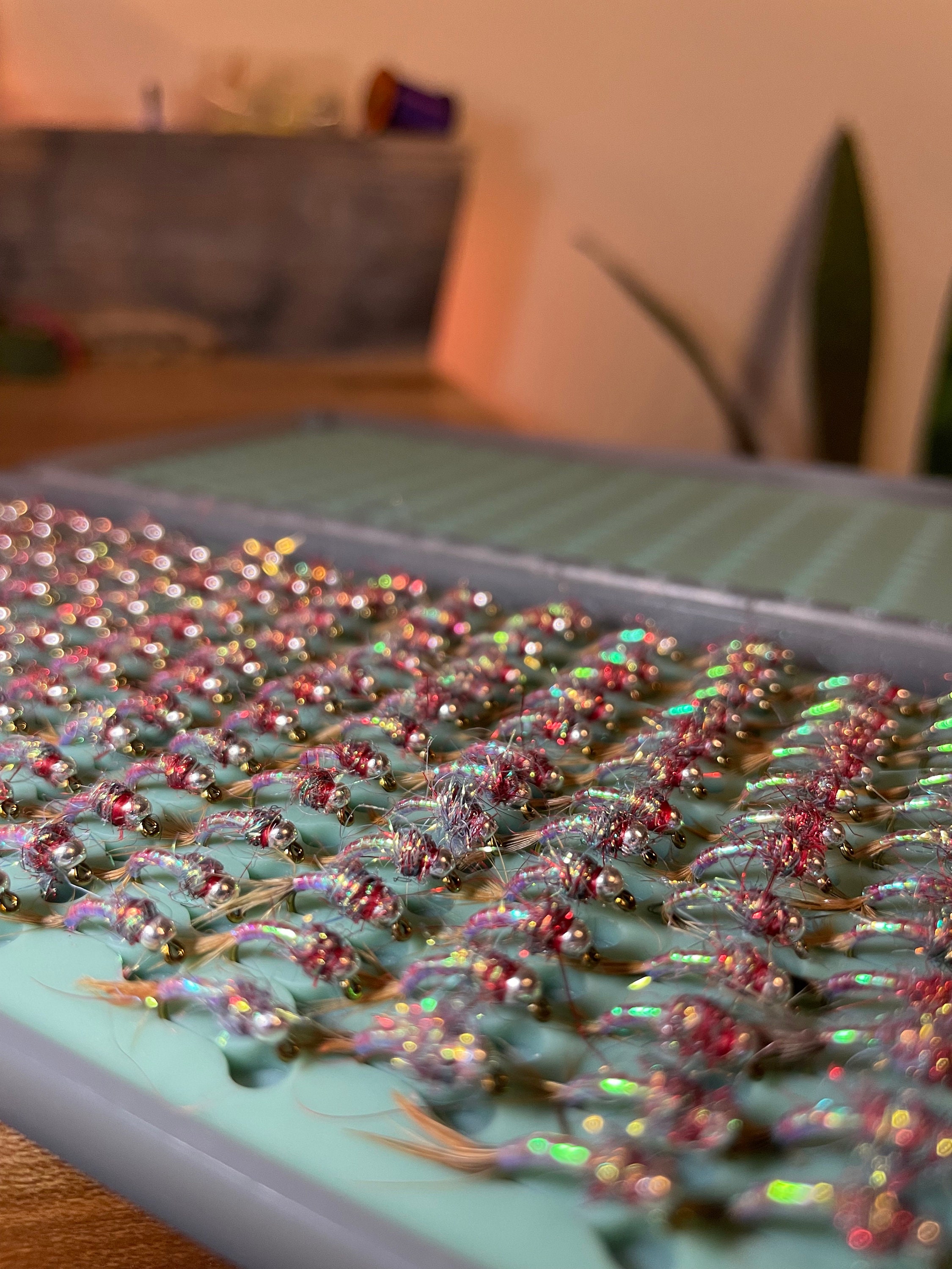 6 Pack - Rainbow Warrior Bead Head Nymph - Etsy