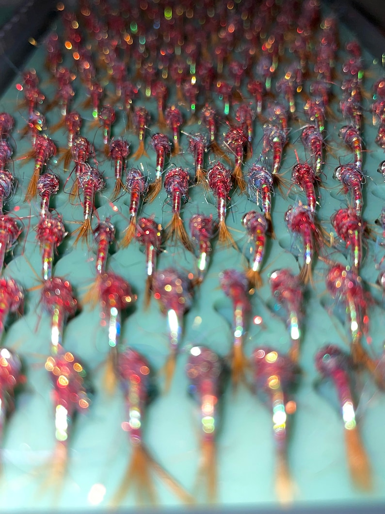 6 Pack - Rainbow Warrior Bead Head Nymph - Etsy