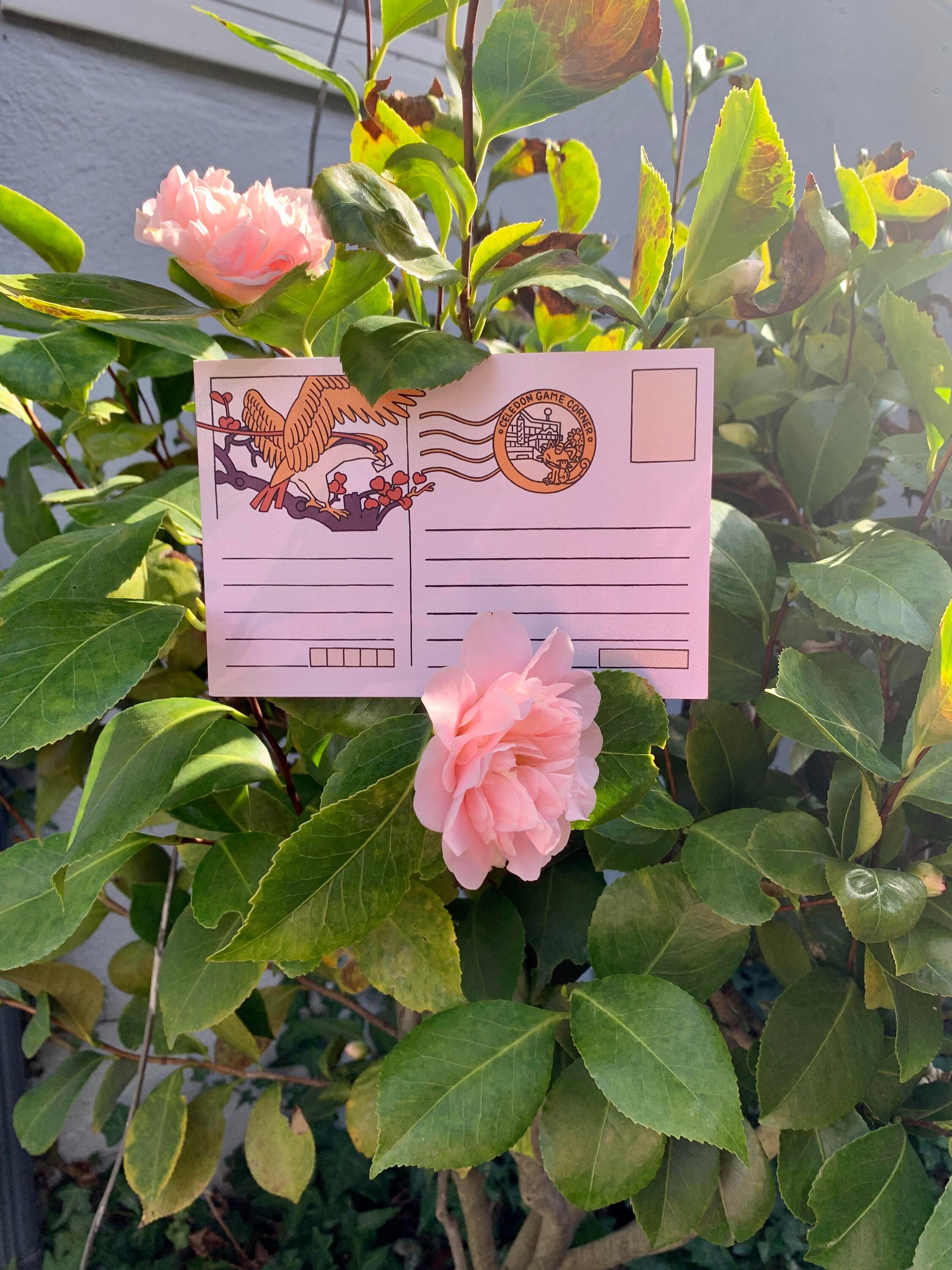 Travel Card High Seas Lapras Boat Postcard - Etsy