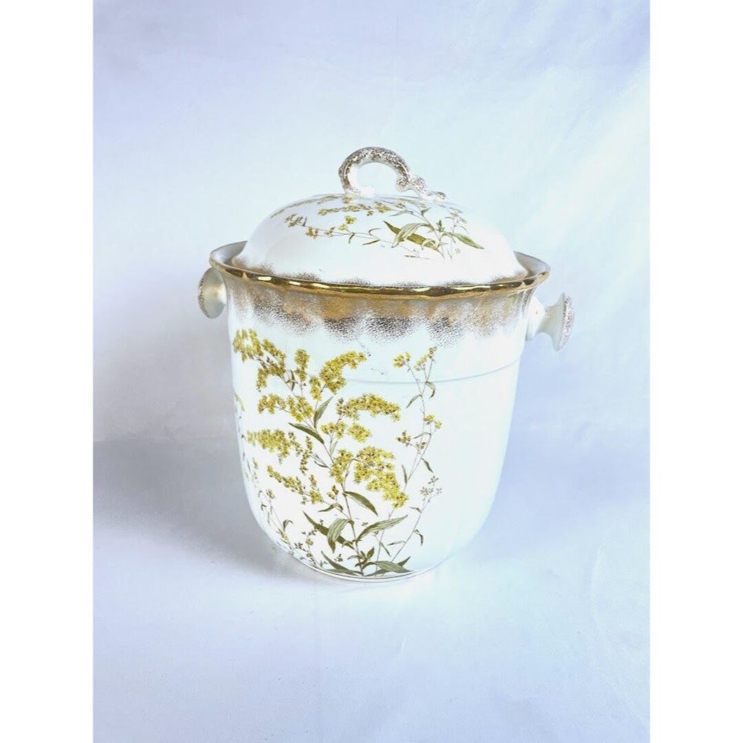 John Maddock & Sons Royal Vitreous England Antique Chamber Pot - Etsy