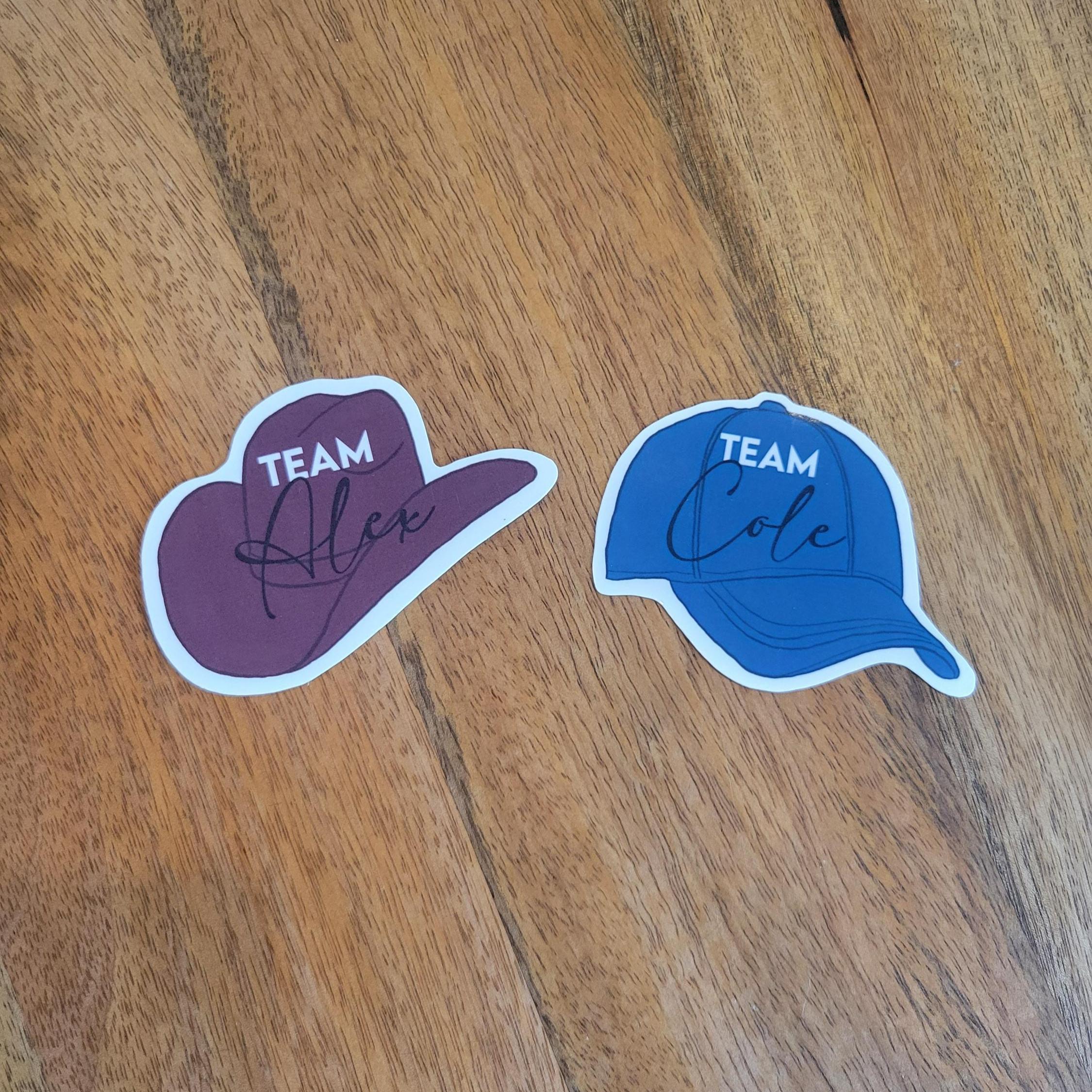 My Life With the Walter Boys Sticker Set, Team Alex, Team Cole, Silver ...