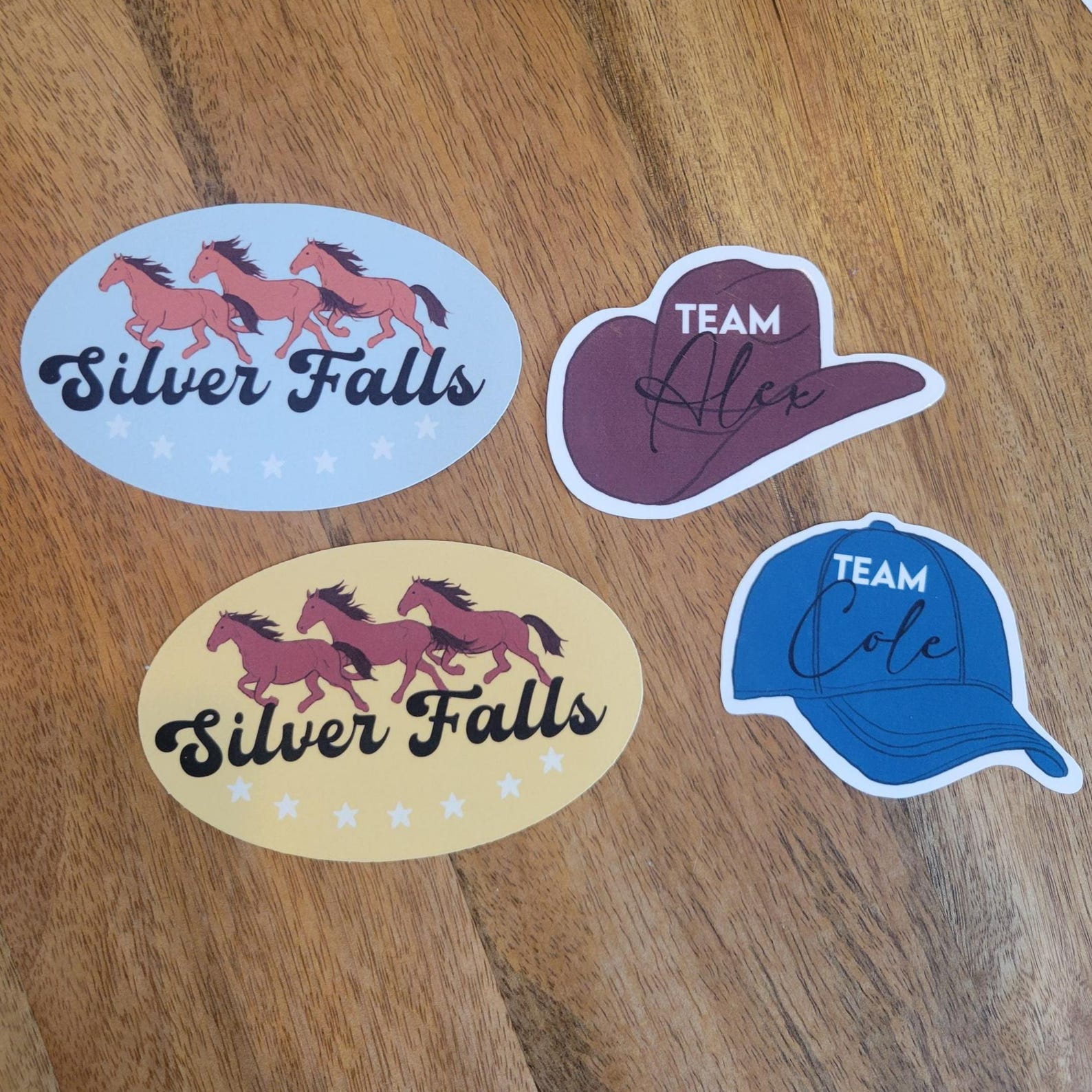 My Life With the Walter Boys Sticker Set, Team Alex, Team Cole, Silver ...