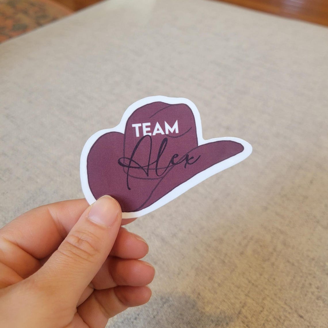 My Life With the Walter Boys Sticker Set, Team Alex, Team Cole, Silver ...