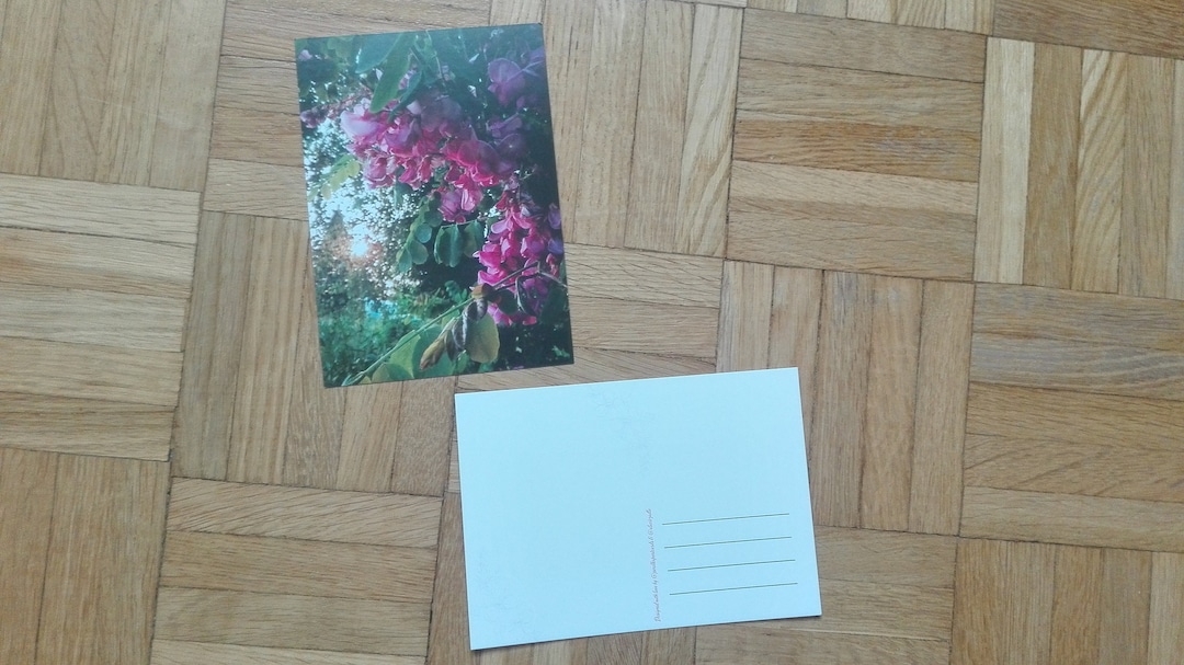 Spring Postcards - Etsy