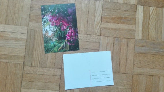 Spring Postcards - Etsy