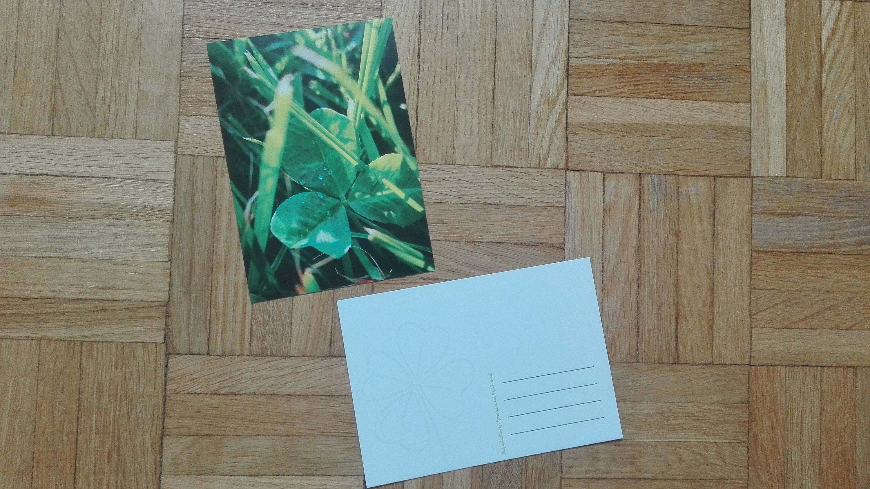 Spring Postcards - Etsy