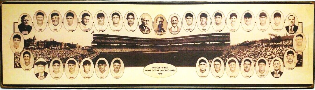 1929 Chicago Cubs Wrigley Field Panoramic Team Photo Print Direct to ...