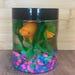 Mini Goldfish Aquarium (back to School Gift for Students) - Etsy