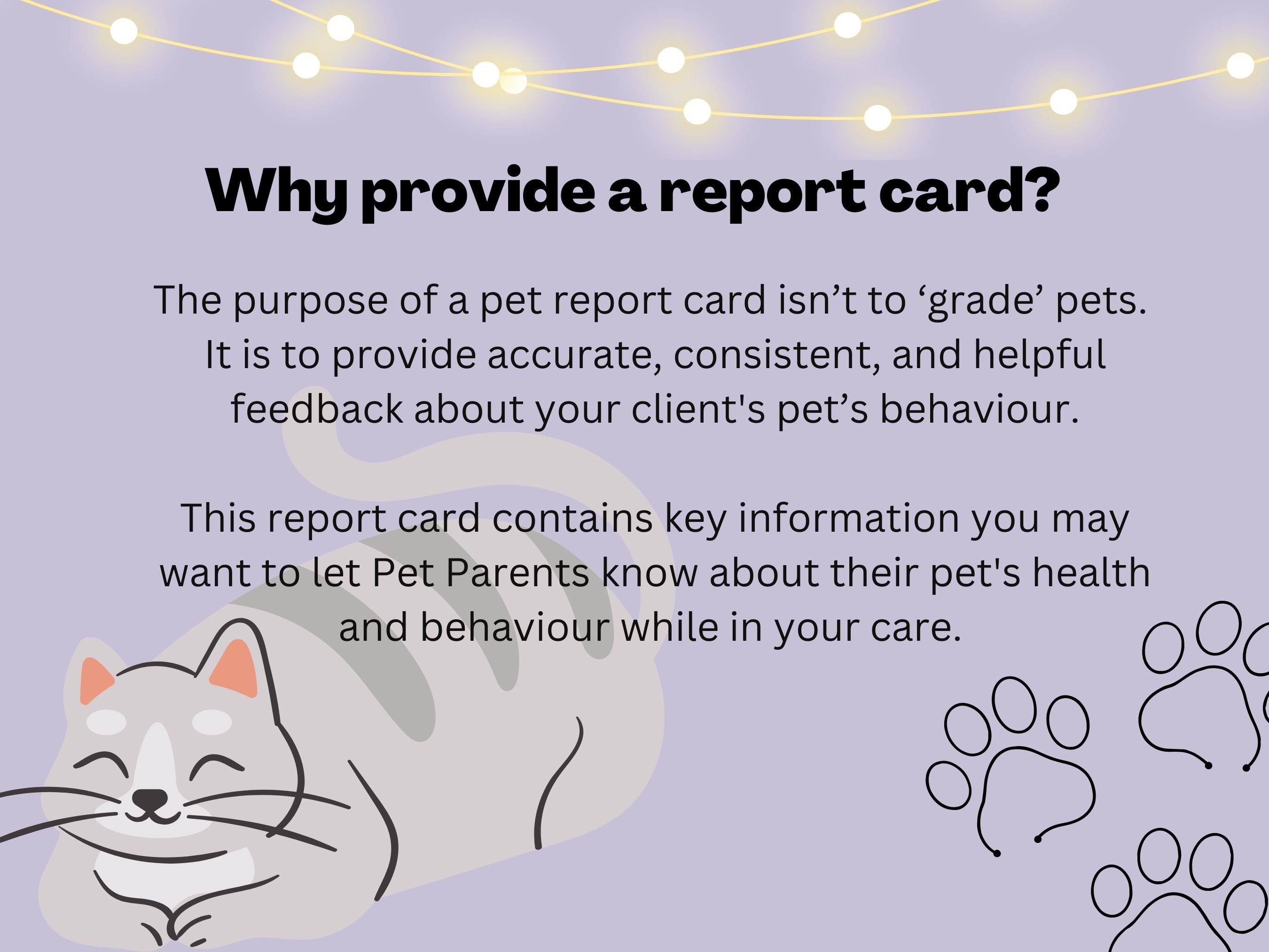 Cat/pet Report Card - for Cattery/pet Boarding Business, Pet Sitters - Etsy