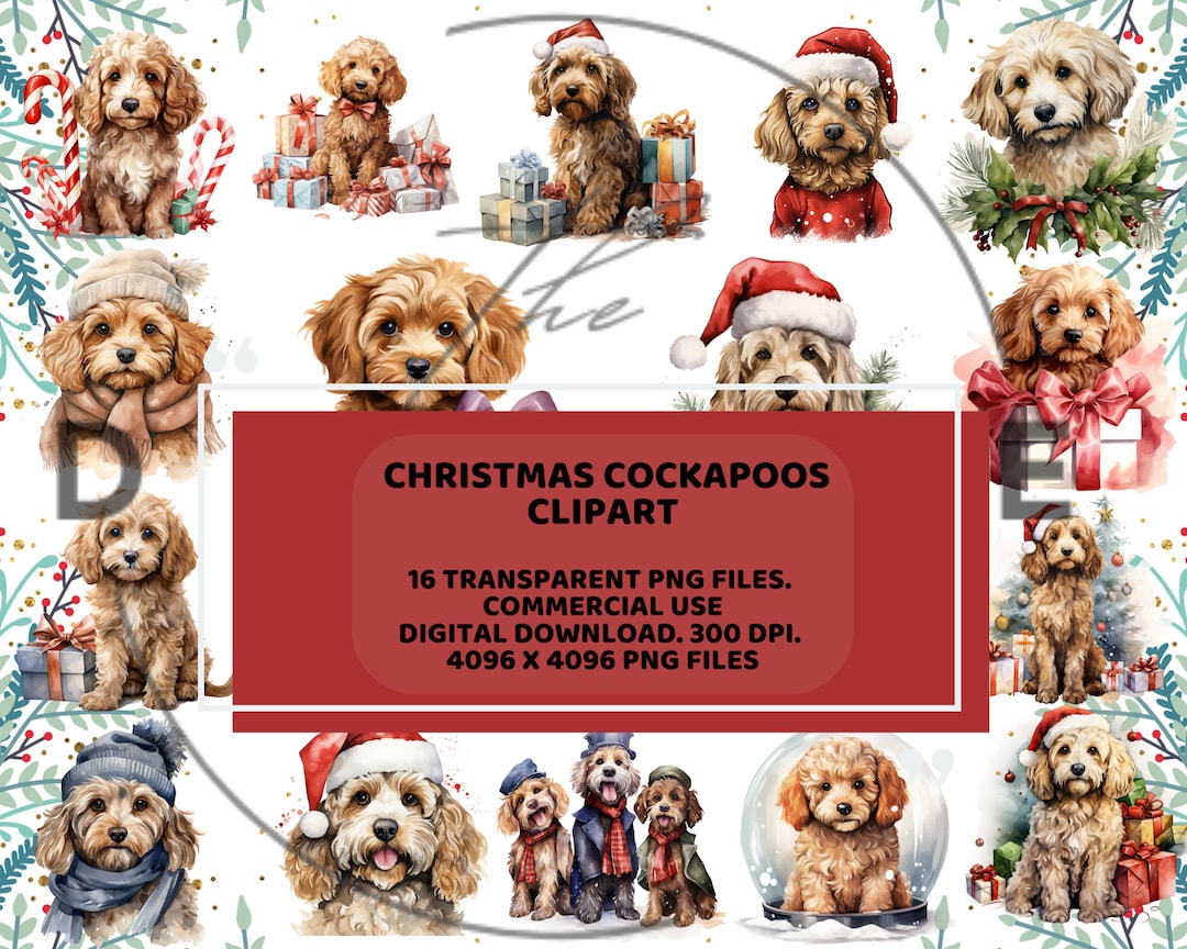 Christmas Cockapoo Clipart Set 16 Watercolor Illustrations Commercial ...