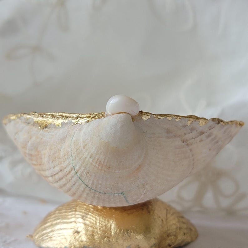 Shell Ring Dish Jewelry Dish - Etsy