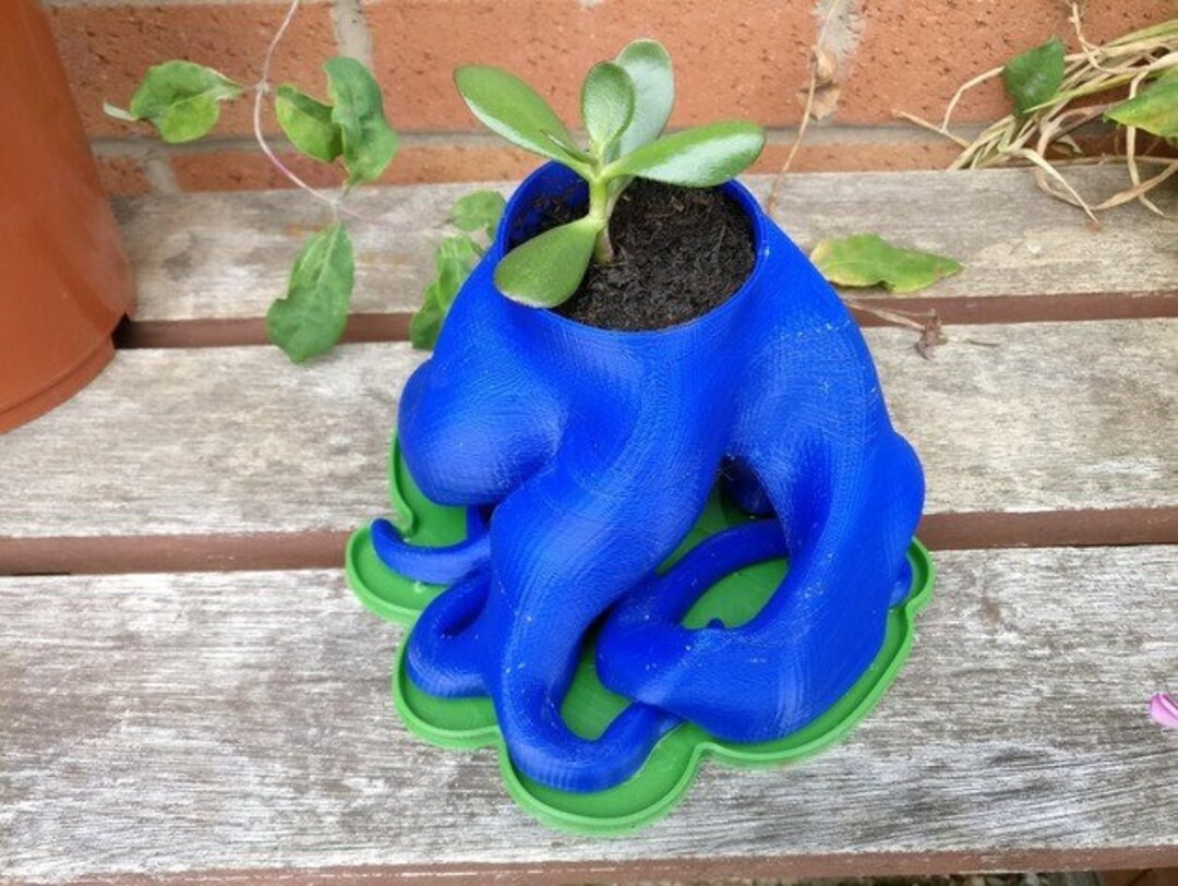 PLANTER Unique Planter Octopus Planter Succulent Planter Indoor ...