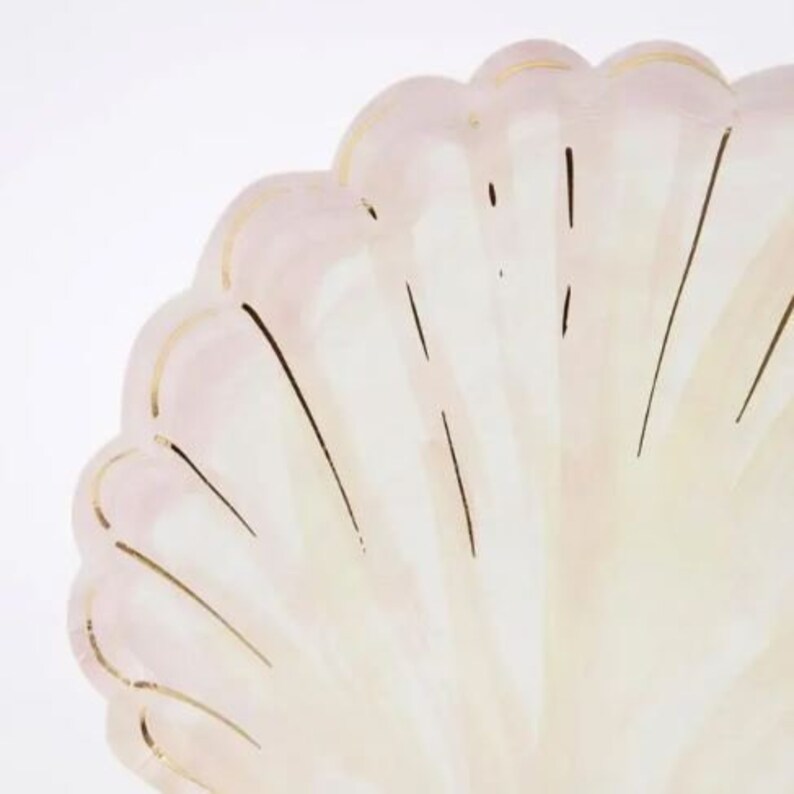 Clam Shell Plates - Etsy