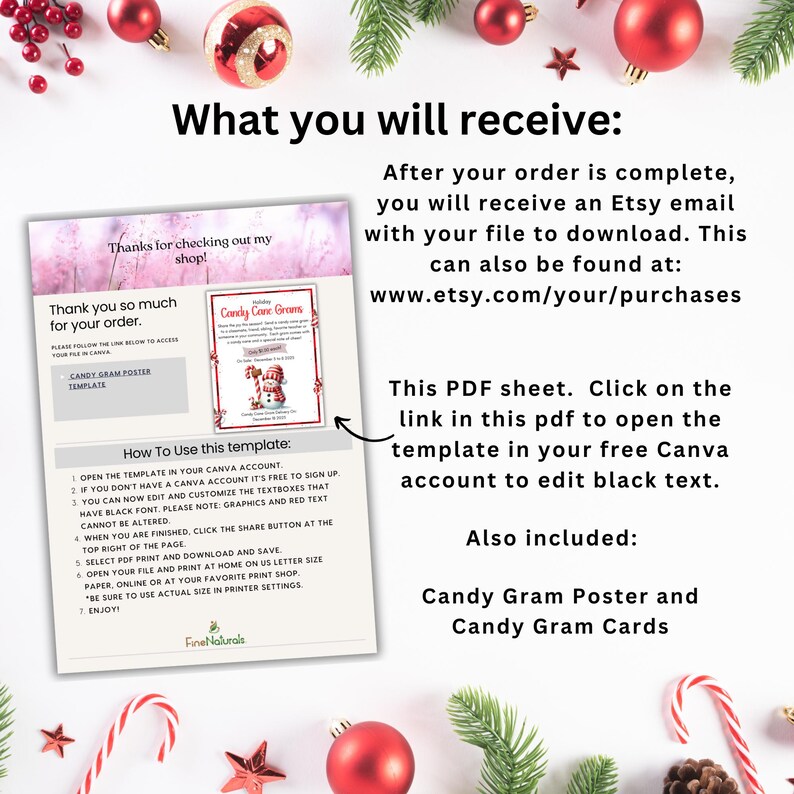 Candy Cane Gram Cards, Holiday Candy Gram Flyer Template Printable, Kit ...
