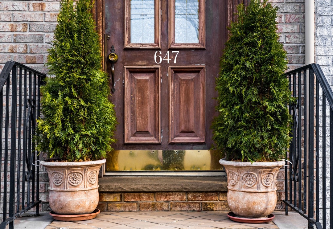 Front Door Address Decal, House Number Decal, Street Address Decal ...