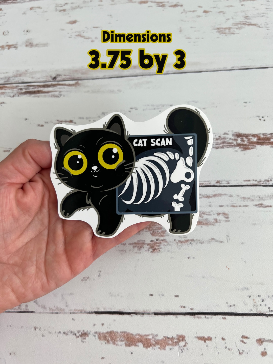 Cute Catscan Sticker - Etsy