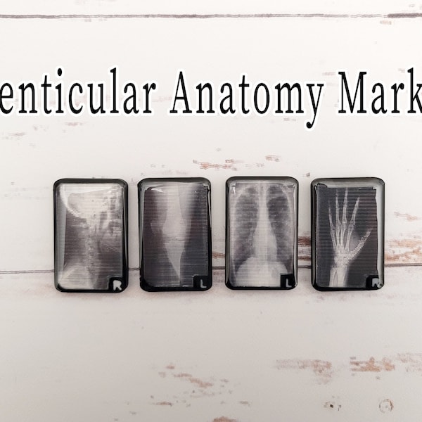 Anatomy Markers - Etsy