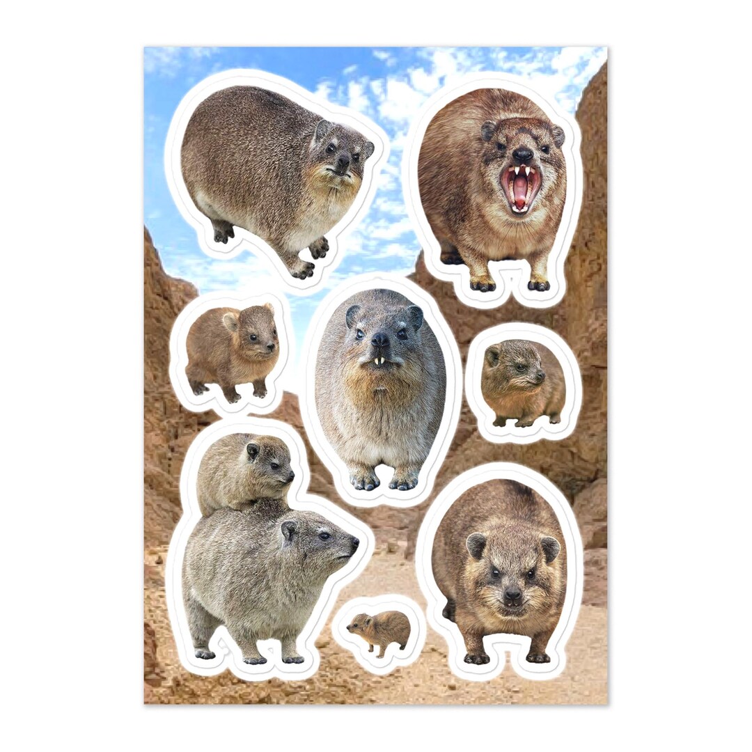 Rock Hyrax Glossy Stickers - Etsy