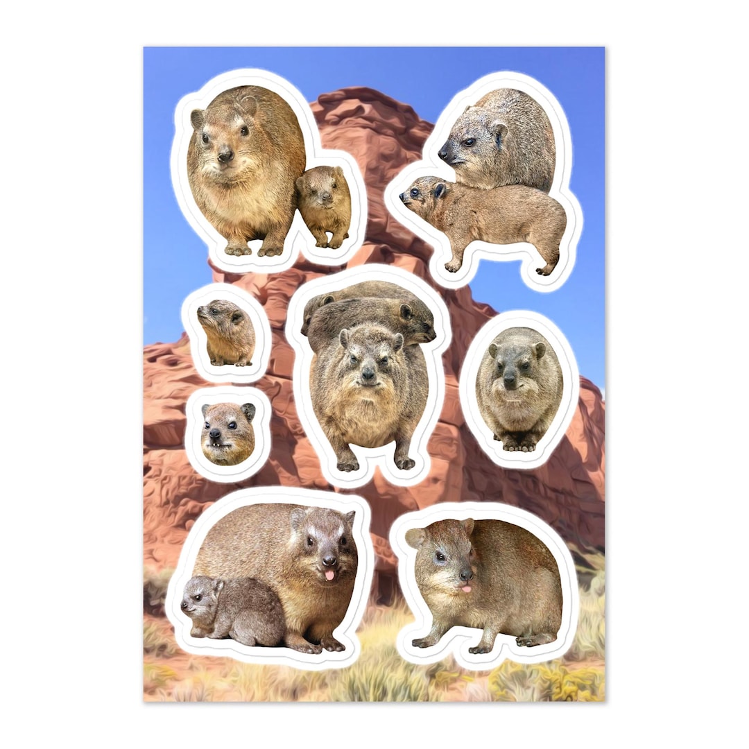 Rock Hyrax Sticker Sheet - Etsy