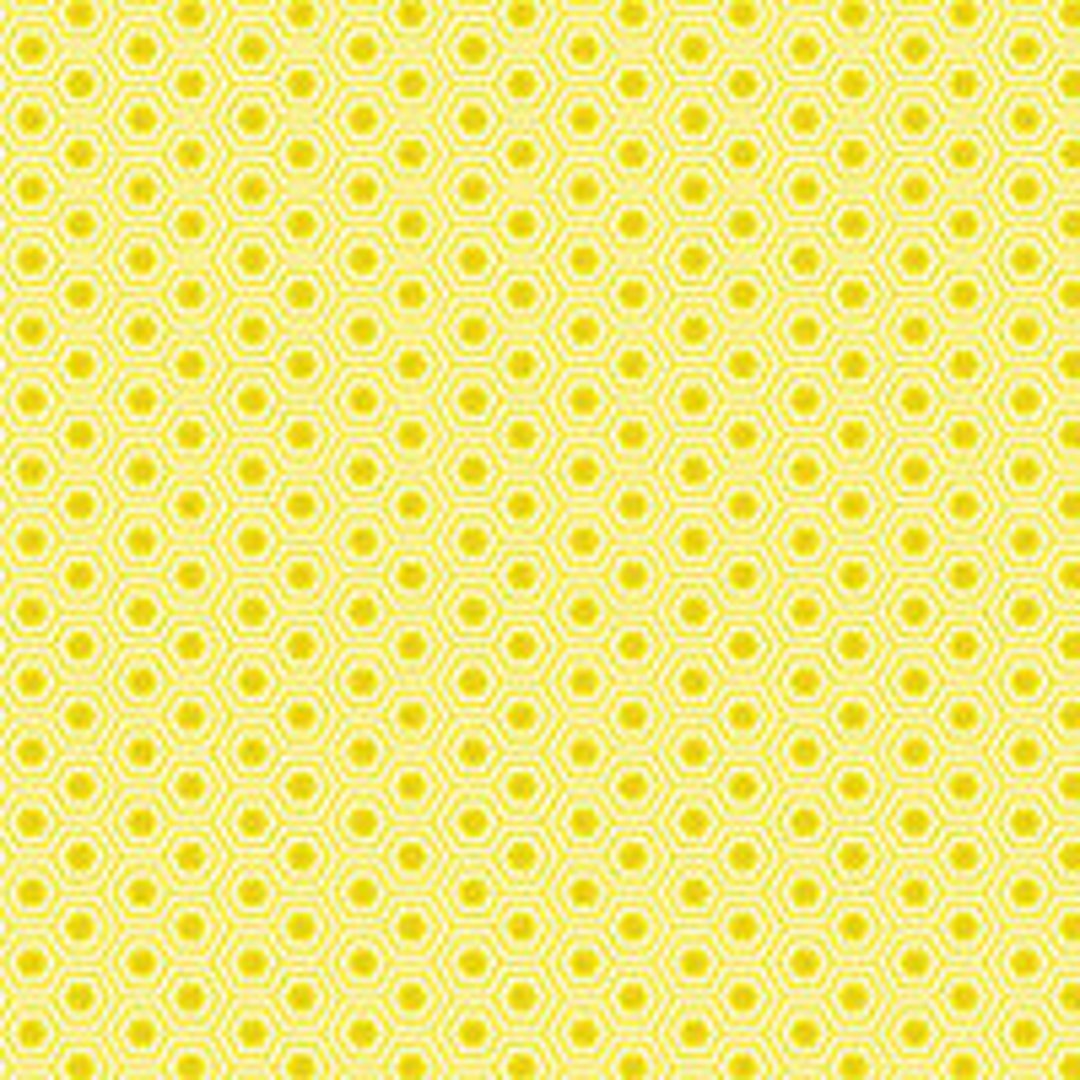 Tula Pink Sunshine Hexagon PWPT150 - Etsy