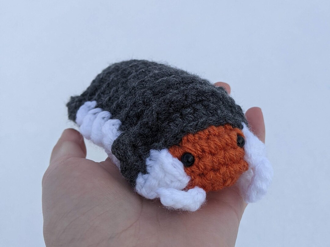 Realistic Crochet Isopod Amigurumi Plush Pak Chong - Etsy