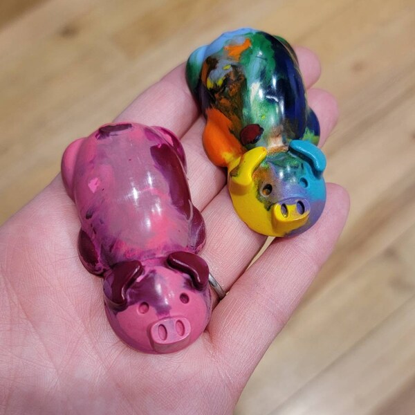 Mini Pig Supplies - Etsy