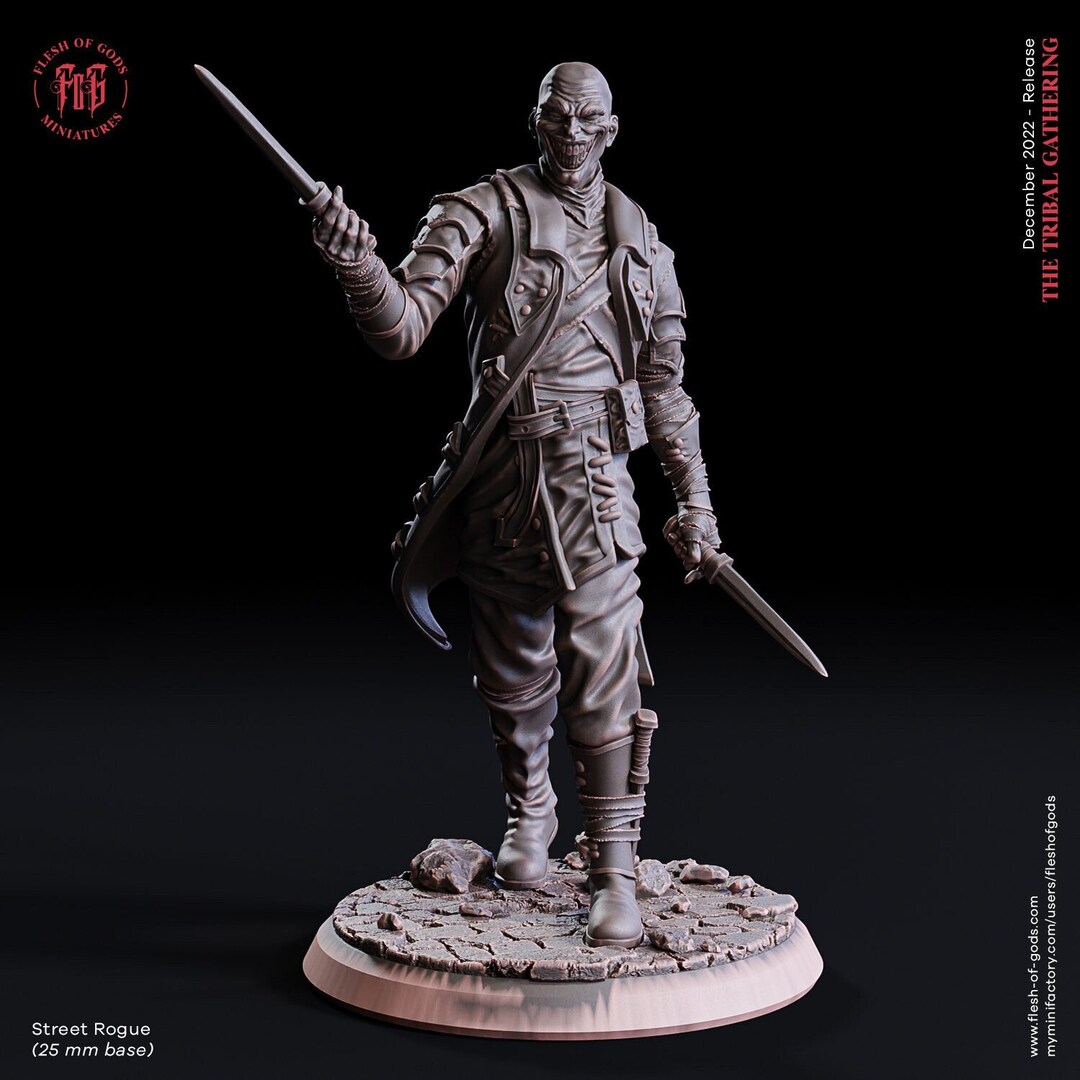 Street Rogue the Rogue by Flesh of Gods | D&D | Pathfinder - Etsy