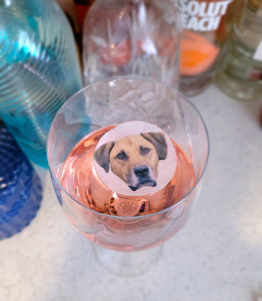 Custom Pet Drink Toppers | Drink Toppers | Edible Drink Toppers ...