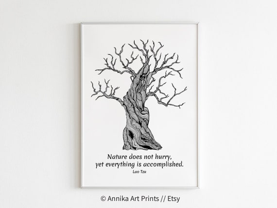 Poster With Quote Bonsai Tree Poster Zen Poster Lao Tzu - Etsy